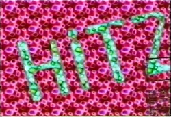 Hitz | Logopedia | Fandom