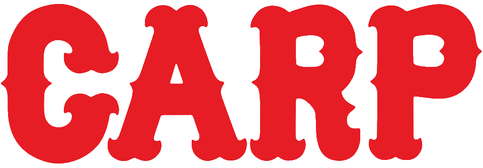 Hiroshima Toyo Carp | Logopedia | Fandom