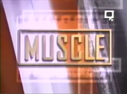 Muscle | Logopedia | Fandom