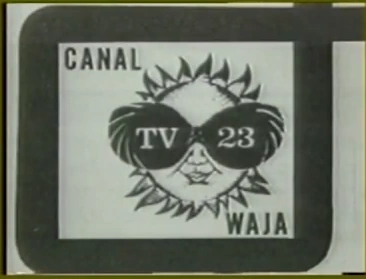 WLTV-DT | Logopedia | Fandom