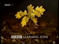 BBC Learning Zone | Logopedia | Fandom