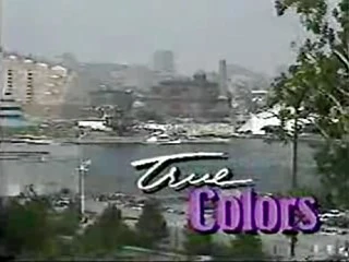 True Colors | Logopedia | Fandom