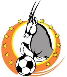 Namibia Premier League | Logopedia | Fandom