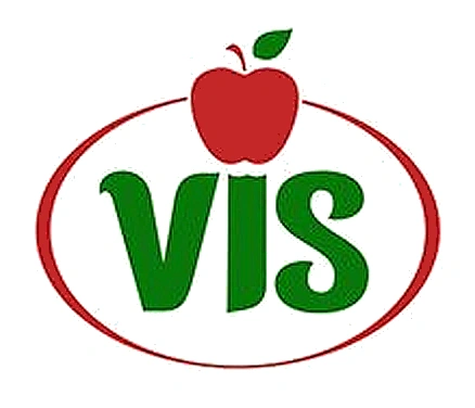 VIS | Logopedia | Fandom