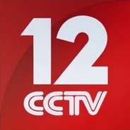 CCTV-12 | Logopedia | Fandom