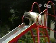 PBS Educational/Informational | Logopedia | Fandom