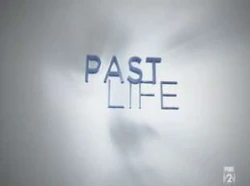 Past Life | Logopedia | Fandom