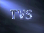 Television South | Logopedia | Fandom