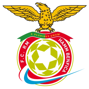 FC RM Hamm Benfica | Logopedia | Fandom