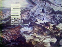 WKAR-TV/Other | Logopedia | Fandom