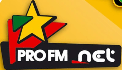 Pro FM Net | Logopedia | Fandom