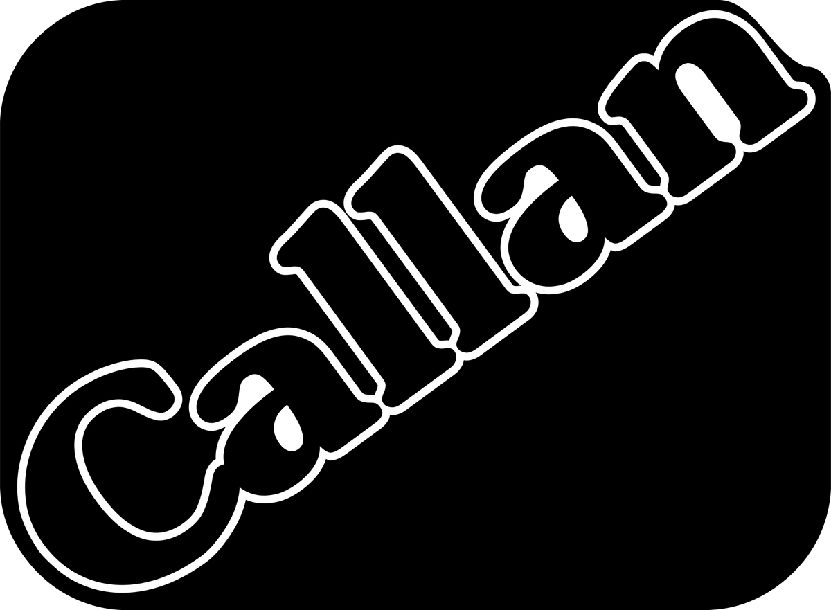 Callan Data Systems | Logopedia | Fandom