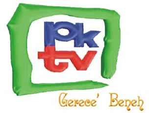 PKTV | Logopedia | Fandom