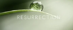 Resurrection | Logopedia | Fandom