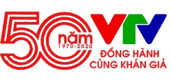 Vietnam Television/Other | Logopedia | Fandom