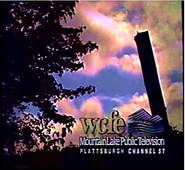 WCFE-TV | Logopedia | Fandom