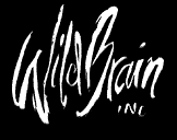 WildBrain London/Logo Variations | Logopedia | Fandom