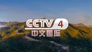 CCTV-4 | Logopedia | Fandom