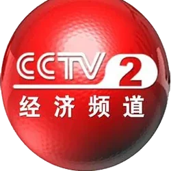 cctv logopedia