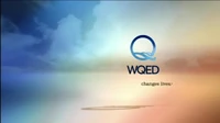 WQED (TV) | Logopedia | Fandom