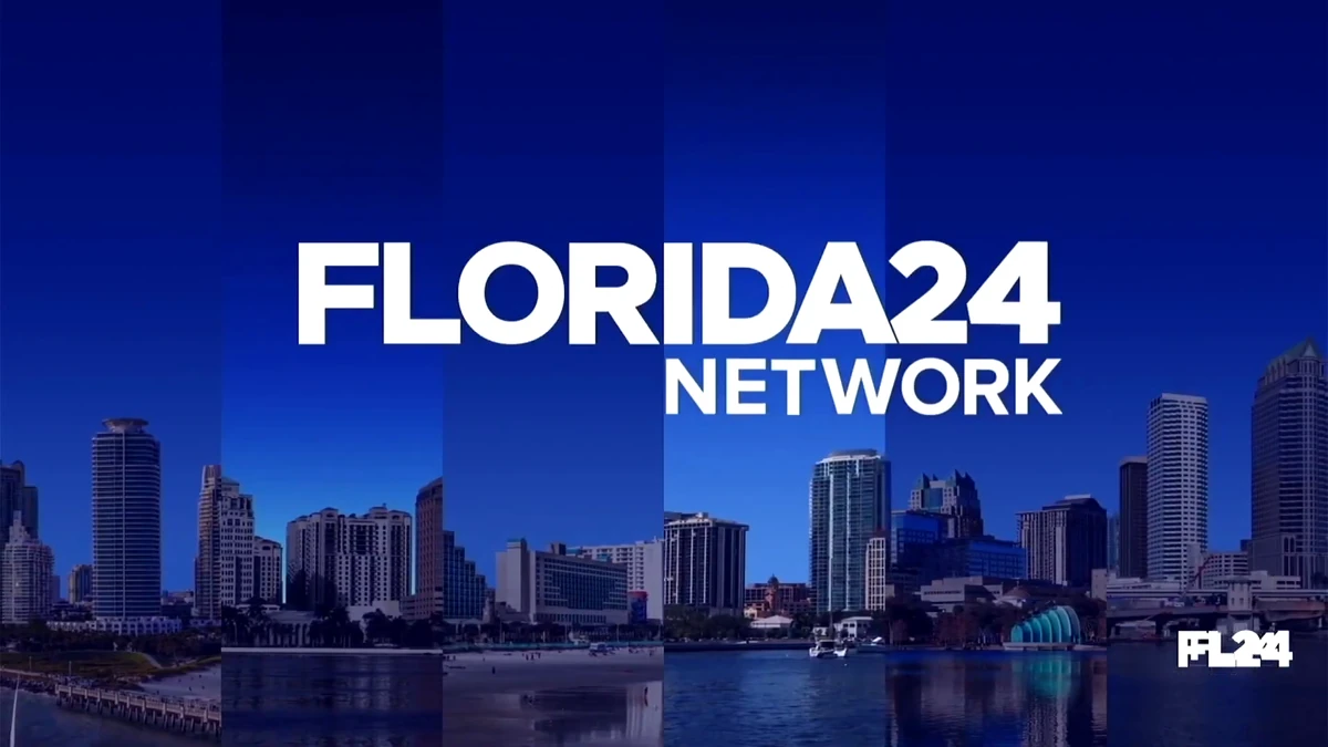 Florida 24 Network | Logopedia | Fandom