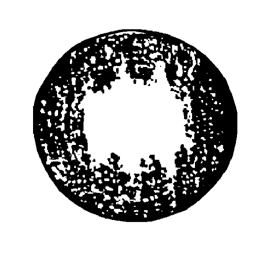 Zoram Nationalist Party | Logopedia | Fandom