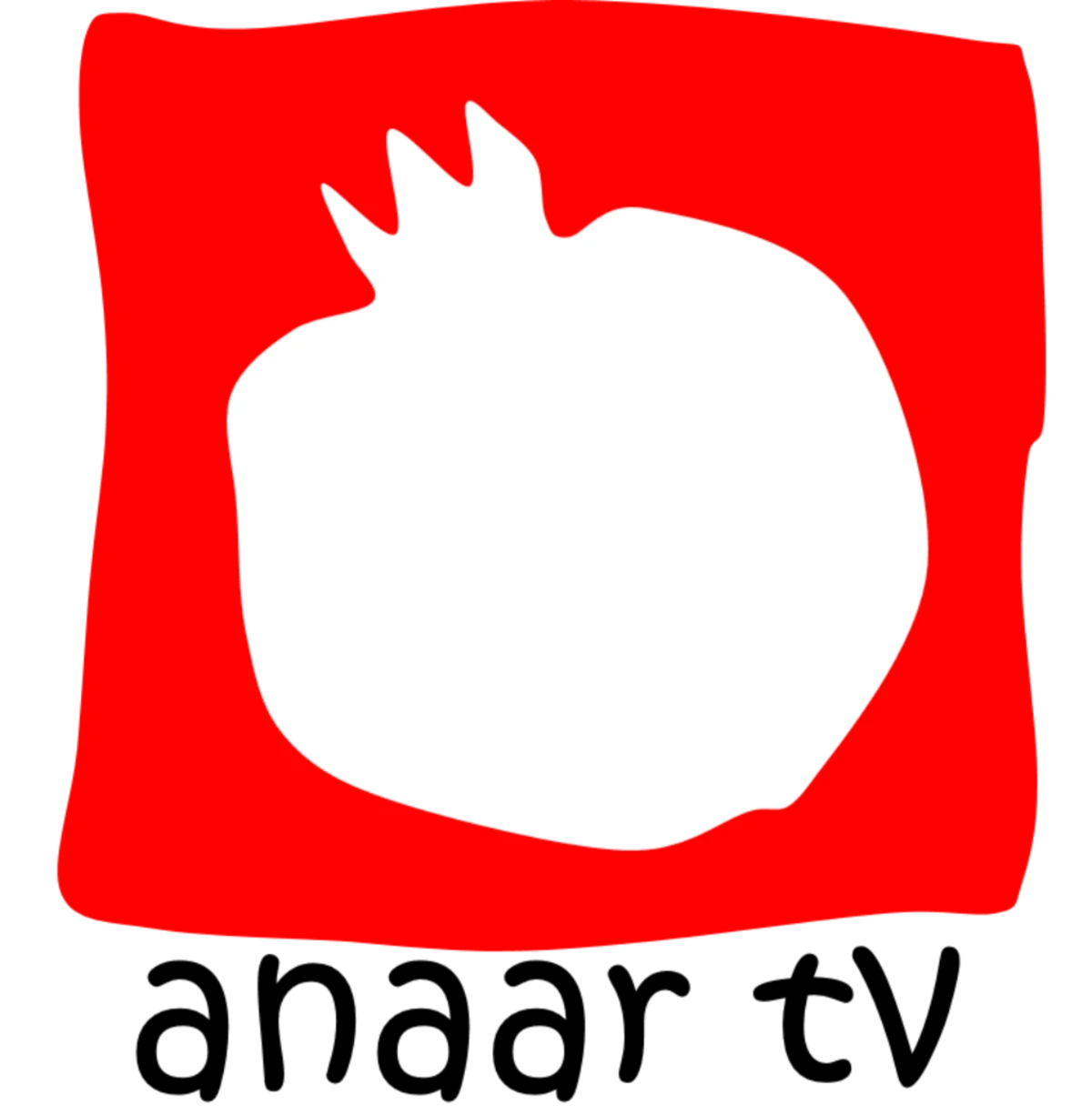 ANAAR TV | Logopedia | Fandom