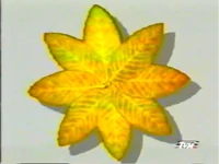 TVM (Malta)/Other | Logopedia | Fandom