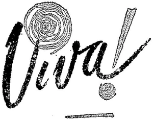 Viva (paper towel) | Logopedia | Fandom