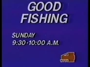 WTTV | Logopedia | Fandom