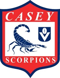 Casey Football Club | Logopedia | Fandom