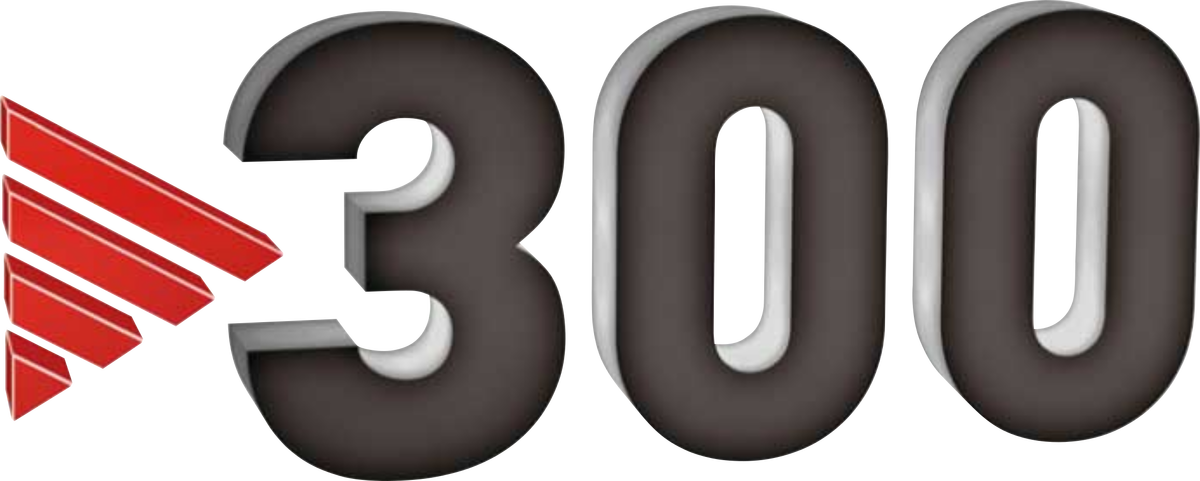 Canal 300 | Logopedia | Fandom