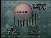 WLNY-TV/Other | Logopedia | Fandom