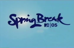 Logo Mtv Spring Break Rocker Tanks For Women MTV Spring Break
