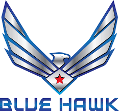 Blue Hawk | Logopedia | Fandom