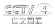 CCTV-4 | Logopedia | Fandom