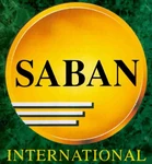 Saban International/Other | Logopedia | Fandom
