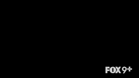 WFTC | Logopedia | Fandom