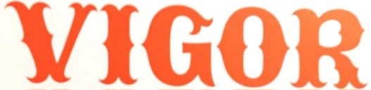 Vigor (Portugal) | Logopedia | Fandom