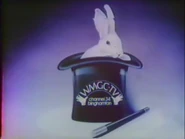 WIVT | Logopedia | Fandom