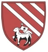 Droylsden FC | Logopedia | Fandom