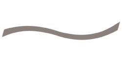Christian Television Network | Logopedia | Fandom