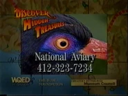 WQED (TV) | Logopedia | Fandom