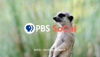 KOCE-TV/Other | Logopedia | Fandom