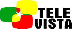 Televista (regional programmer) | Logopedia | Fandom