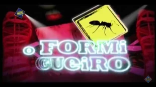 O Formigueiro (Portugal) | Logopedia | Fandom
