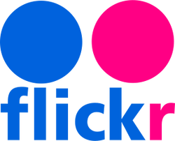 Flickr Logo Svart