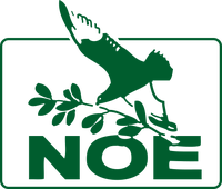 TV NOE | Logopedia | Fandom