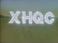 Canal 5 (Mexico)/Other | Logopedia | Fandom