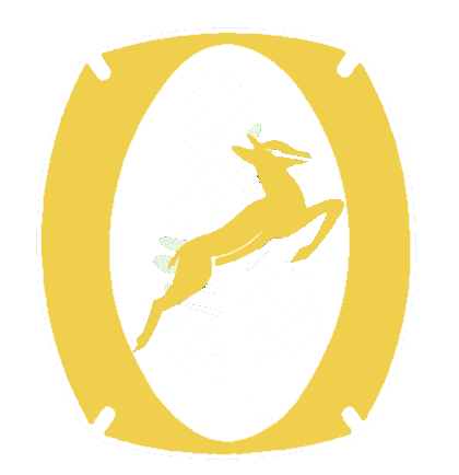 New Zealand Cavaliers | Logopedia | Fandom